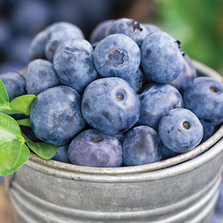 Karns Foods Grocery Store at 6001 Allentown Blvd., Harrisburg, PA 17112