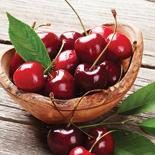 Karns Foods Grocery Store at 731 Cherry Drive, Hershey, PA 17033