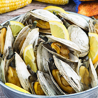 Karns Foods Grocery Store at 4870 Carlisle Pike, Mechanicsburg, PA 17050